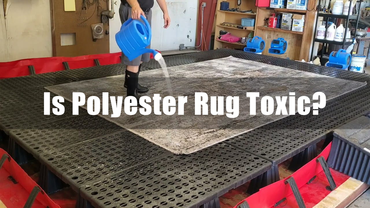 Is Polyester Rug Toxic? What You Need to Know - Custom Rugs
